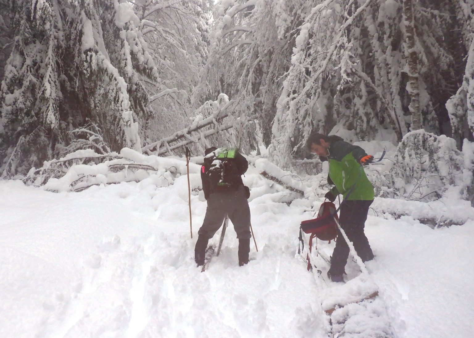 Grooming and Conditions | Nooksack Nordic Ski Club