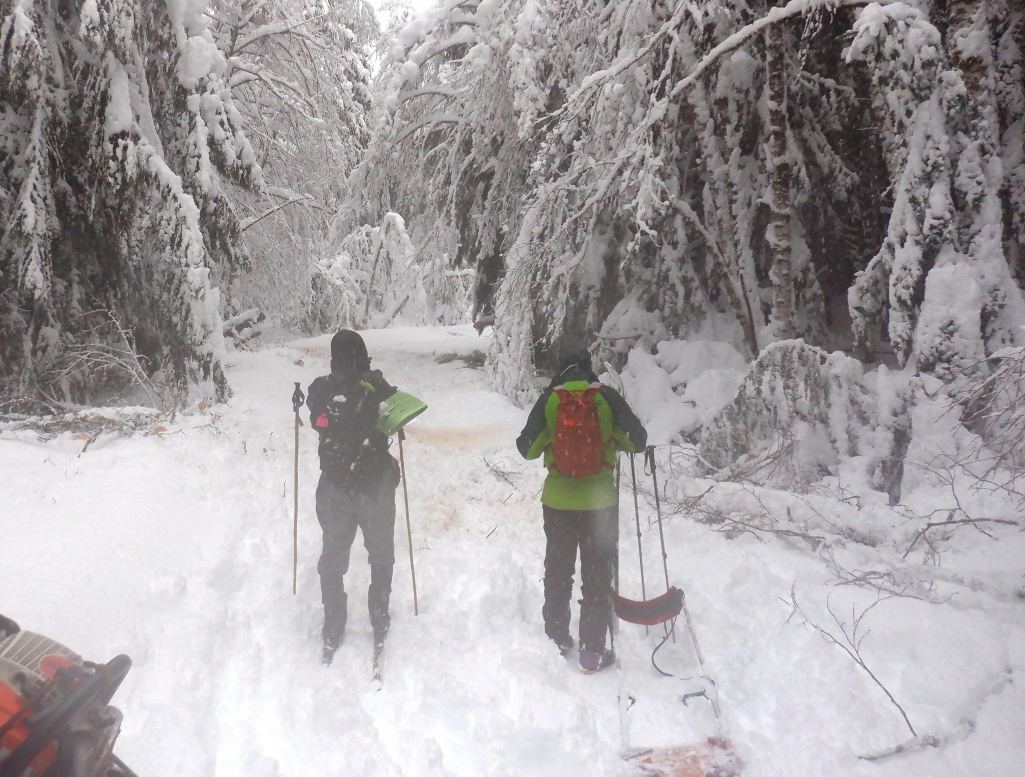 Grooming and Conditions | Nooksack Nordic Ski Club