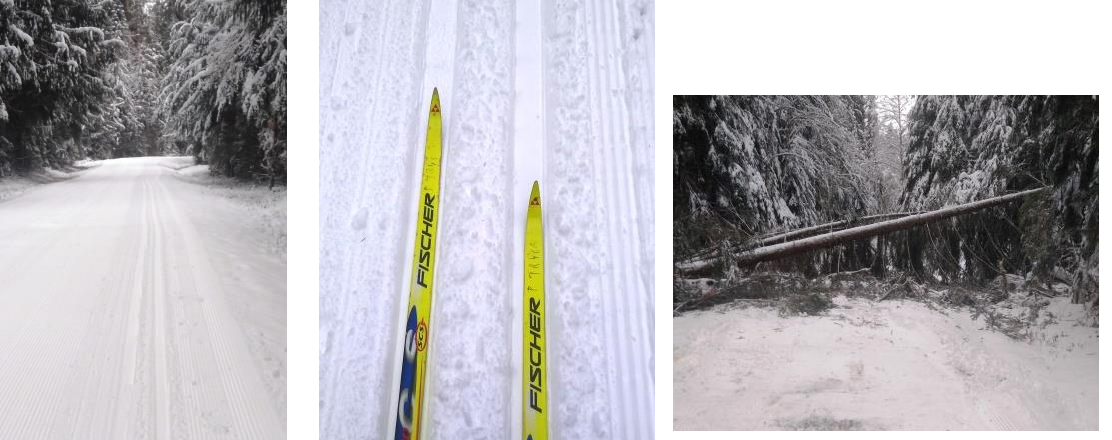 Grooming and Conditions | Nooksack Nordic Ski Club